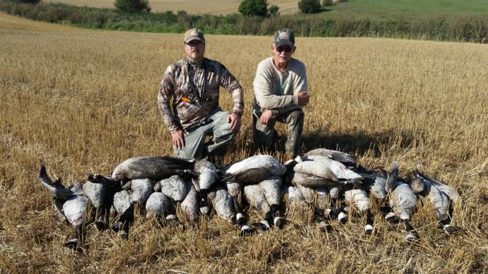 Goose Hunting in Minnesota | Fergus Falls Goose Hunting Guides