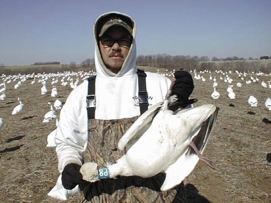 Banded Gand'r Outfitters | Guided goose hunts Fergus Falls MN, NW ...