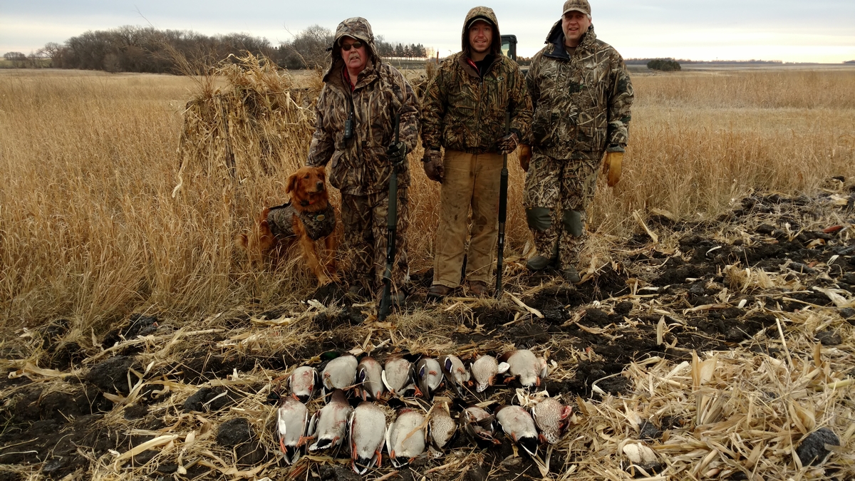Banded Gandr Outfitters Minnesota Waterfowl Hunts Photo Gallery