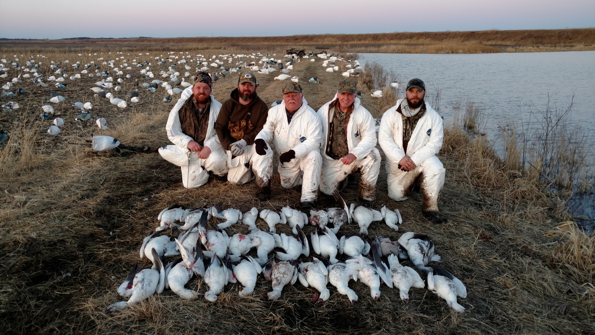 Banded Gandr Outfitters - Missouri Snow Goose Hunting Photo 161