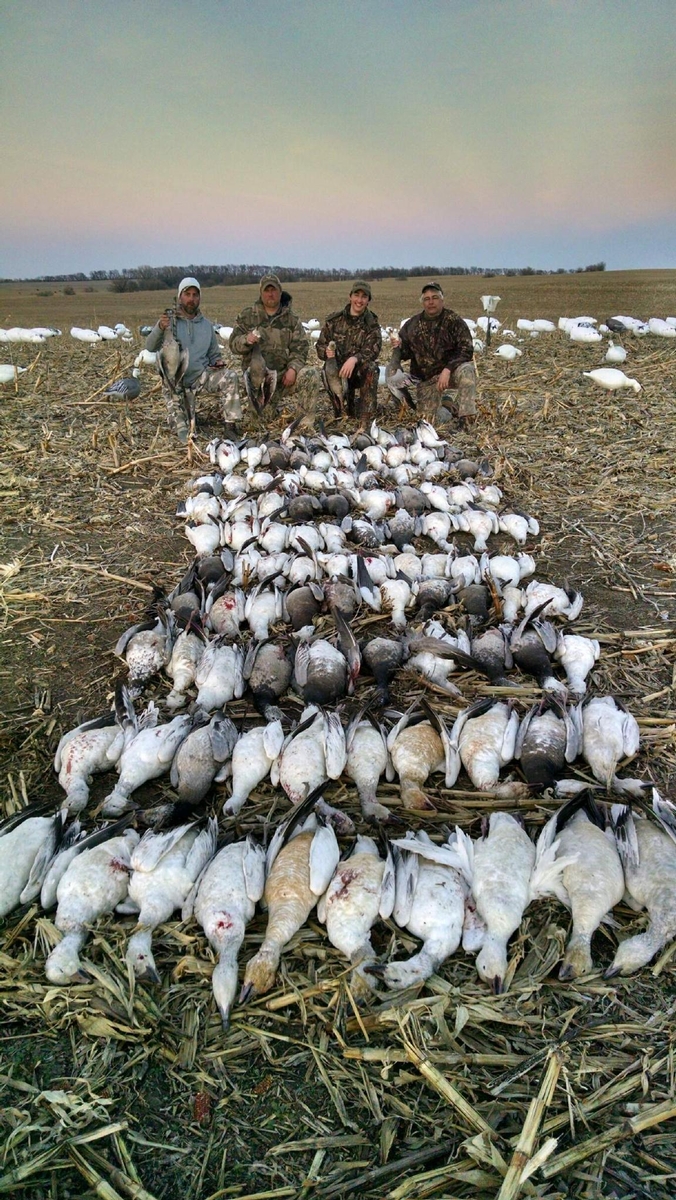 Page 2/2 - Banded Gandr Outfitters Missouri Snow Goose Hunting Photo ...
