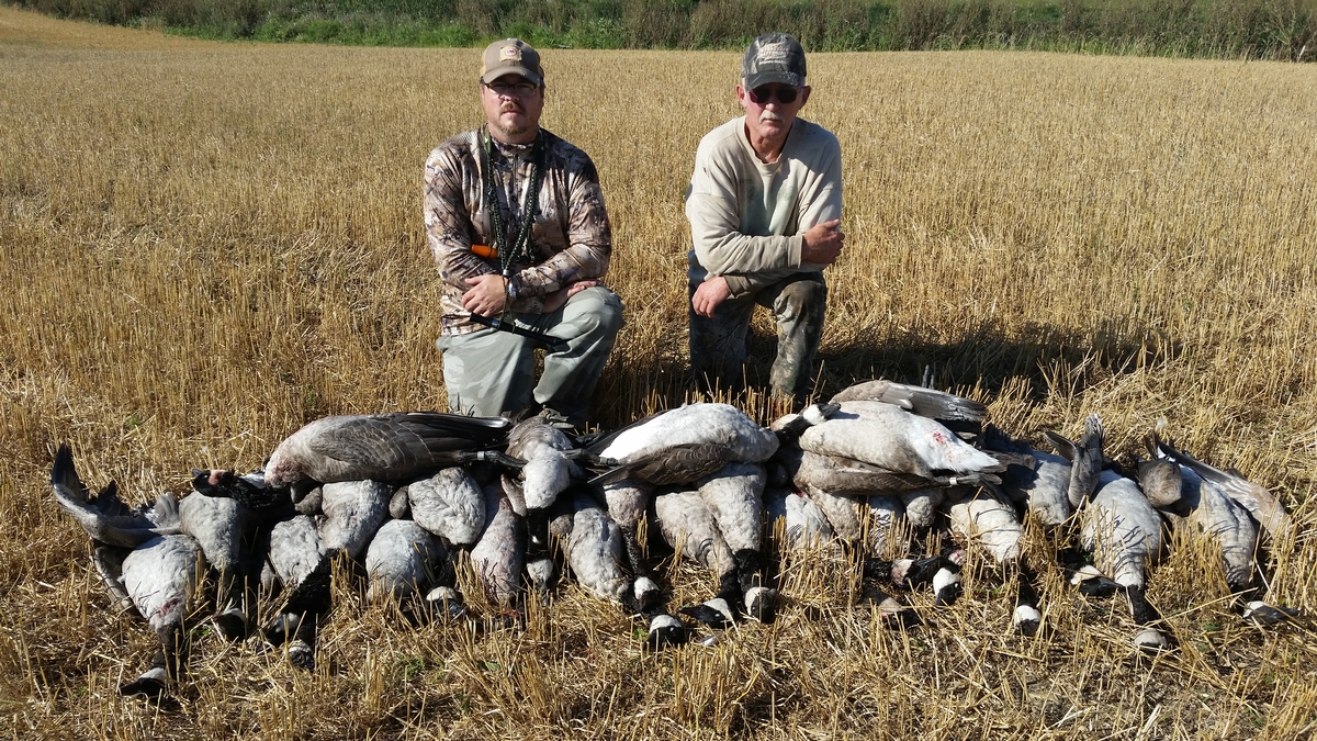 Banded Gandr Outfitters Minnesota Waterfowl Hunts Photo Gallery