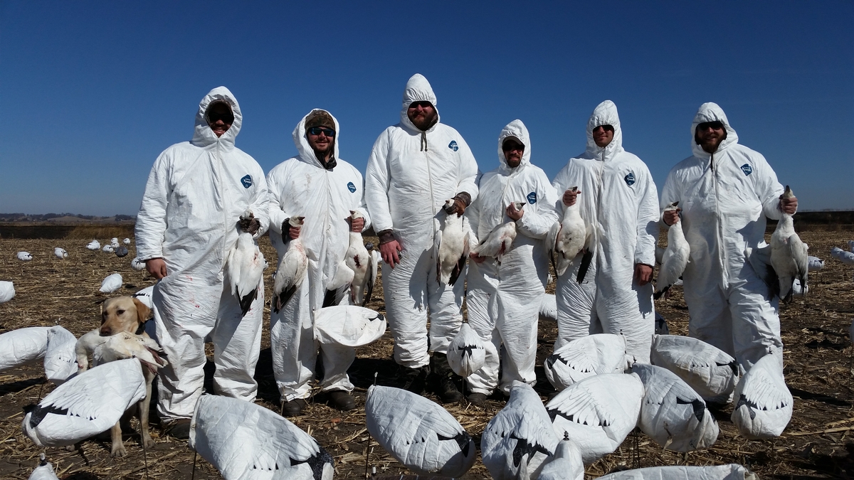 Missouri Spring Snow Goose Guide | MO Snow Goose Hunts