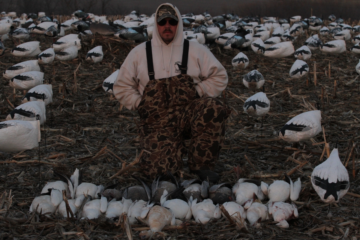Page 2/2 - Banded Gandr Outfitters South Dakota Snow Goose Photo Gallery