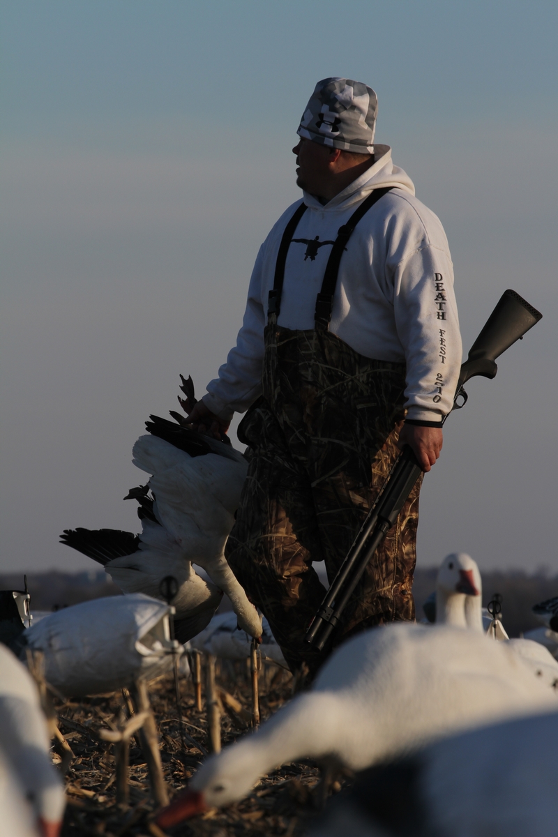 Page 2/2 - Banded Gandr Outfitters South Dakota Snow Goose Photo Gallery